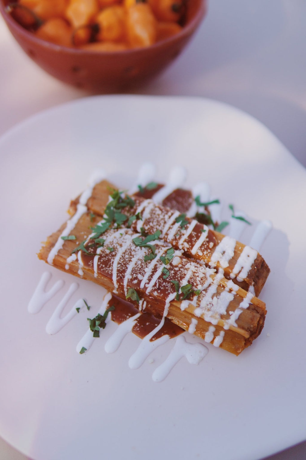 Zoom Expand image caption Dozen Habanero Pork Tamales - The Tamale Company